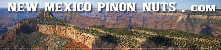 New Mexico Pinon Nuts Contact Page